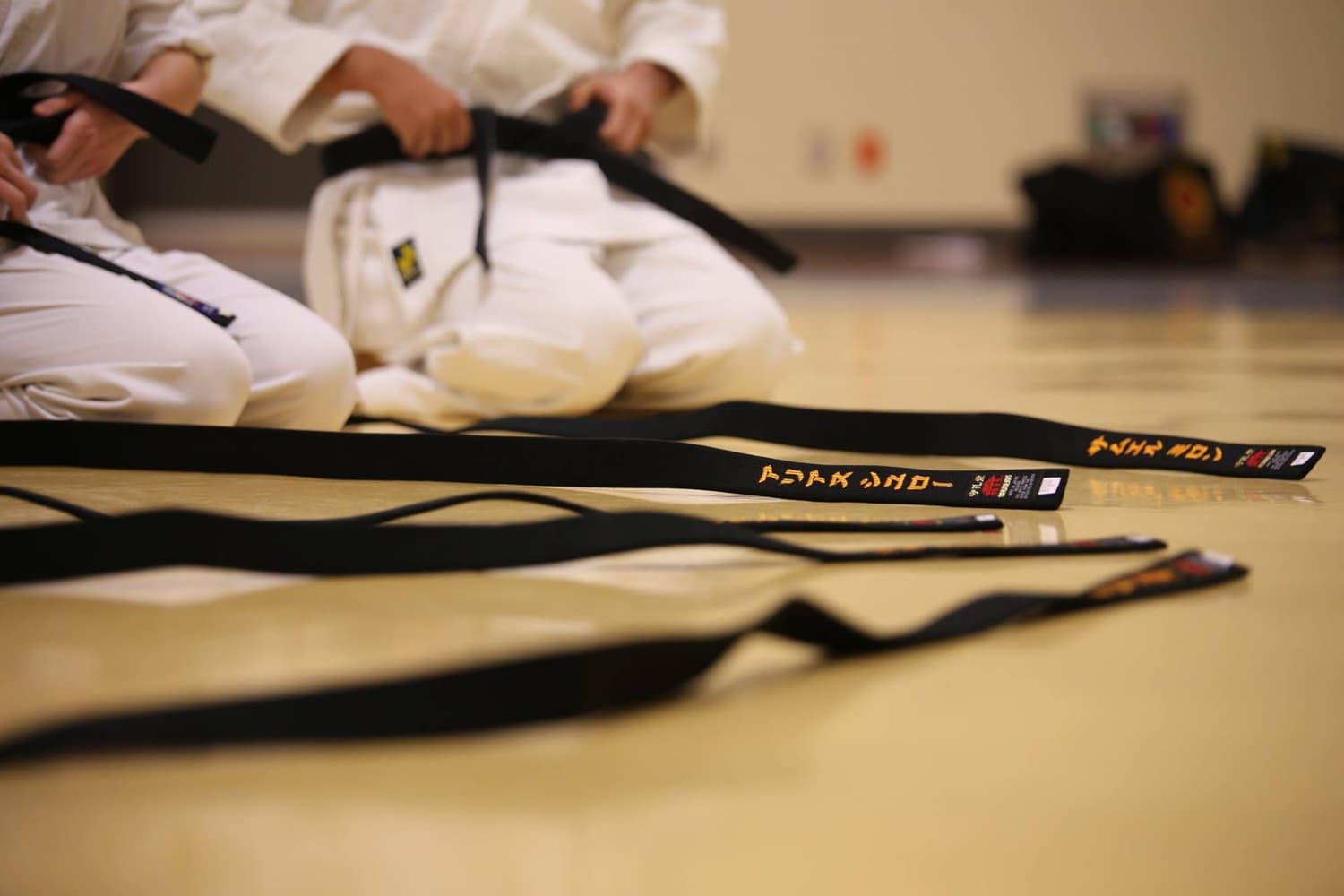 Best BJJ Gi Review: Top Brazilian Jiu-Jitsu Gears In Different Styles ...